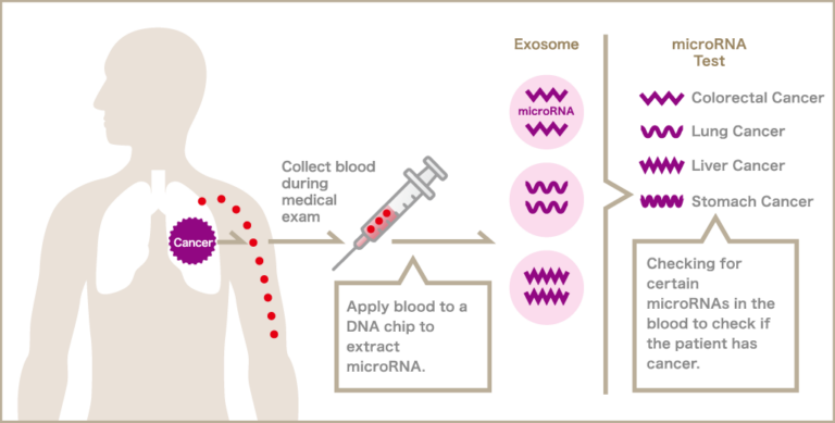 Cancer Genetic Test, microRNA Sequencing | My Peace: Personal iPS Stem ...